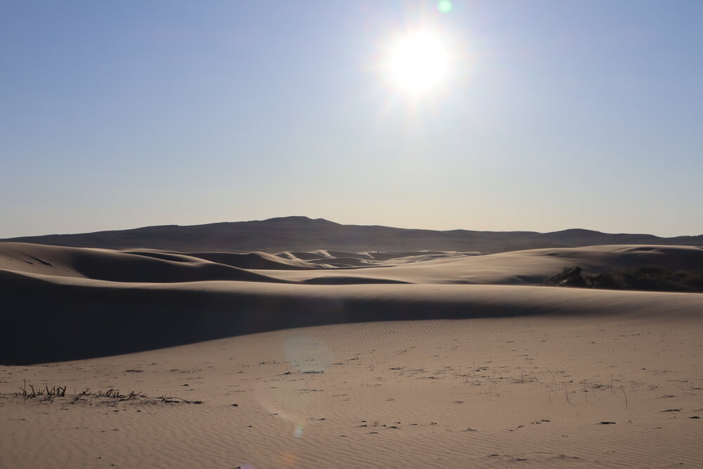 Explore Idaho’s Sand Dunes: The St. Anthony Sand Dunes